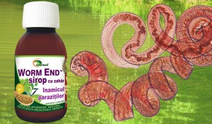 Paraziții intestinali - Remedii naturale contra paraziţilor